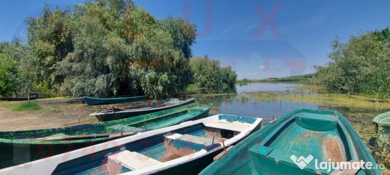 ID 6514 Teren cu casa in Sat Parcheș, 35.000 eur - Lajumate.ro