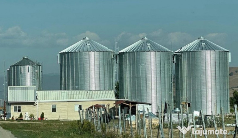 Angajam Muncitor pentru manipularea si pregatirea furajelor, 3.400 lei ...