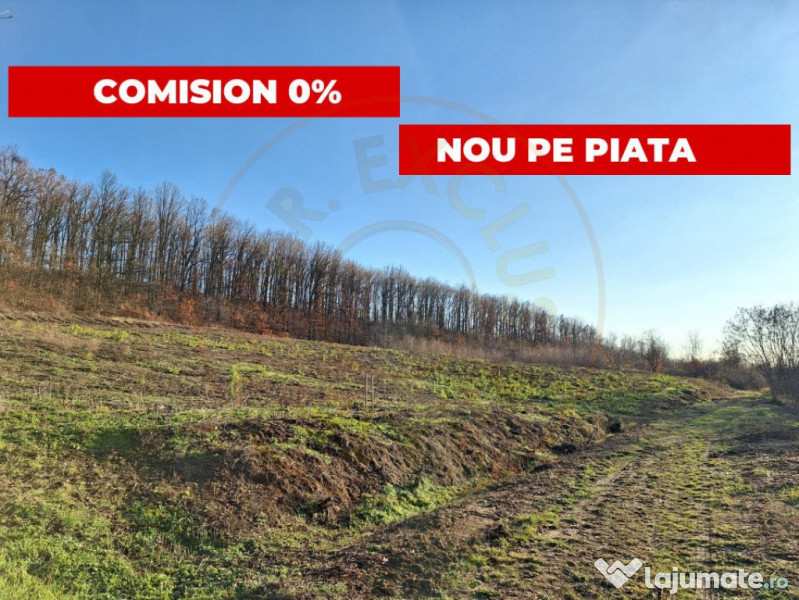 Teren Intravilan Topoloveni cu priveliste superba, 26.000 eur - Lajumate.ro