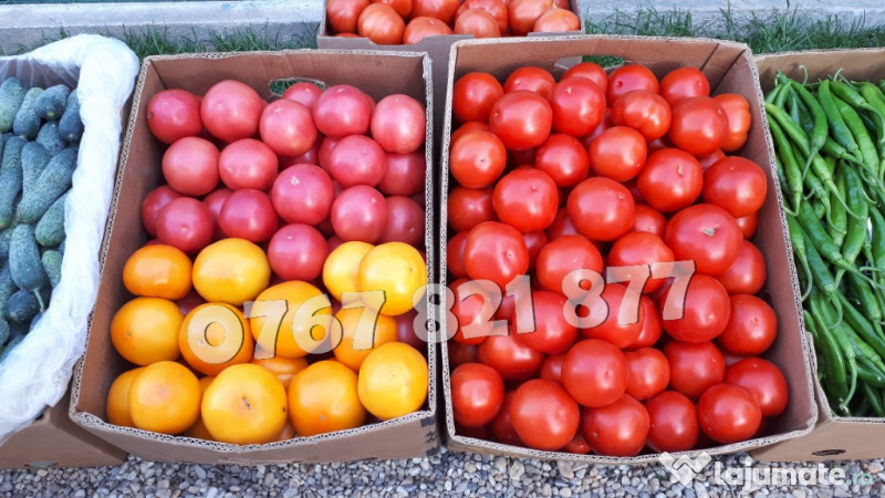 Rasad rosii | Rasaduri rosii / tomate si alte rasaduri legume 2025, 1 ...