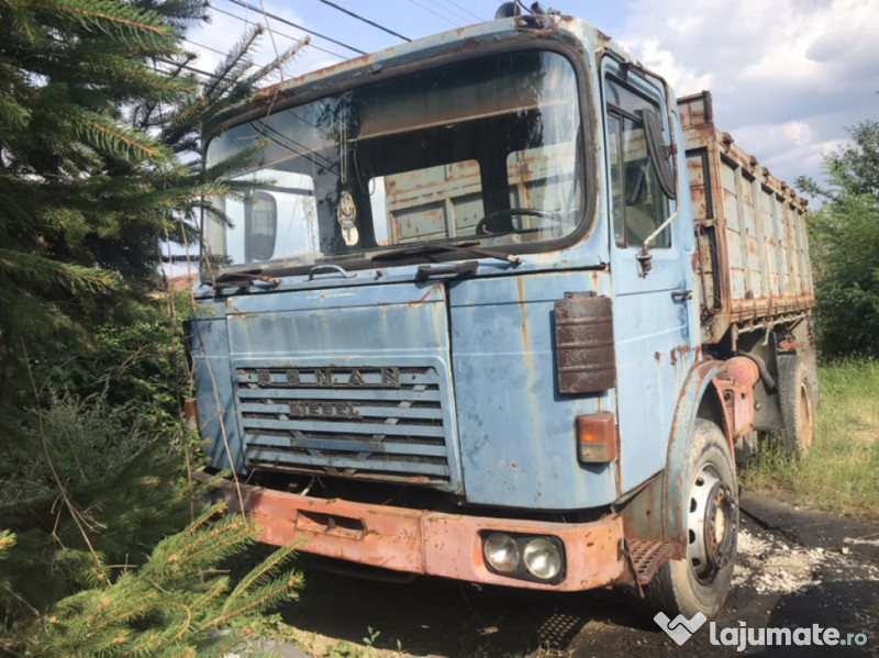 Raba roman, 8.000 lei - Lajumate.ro