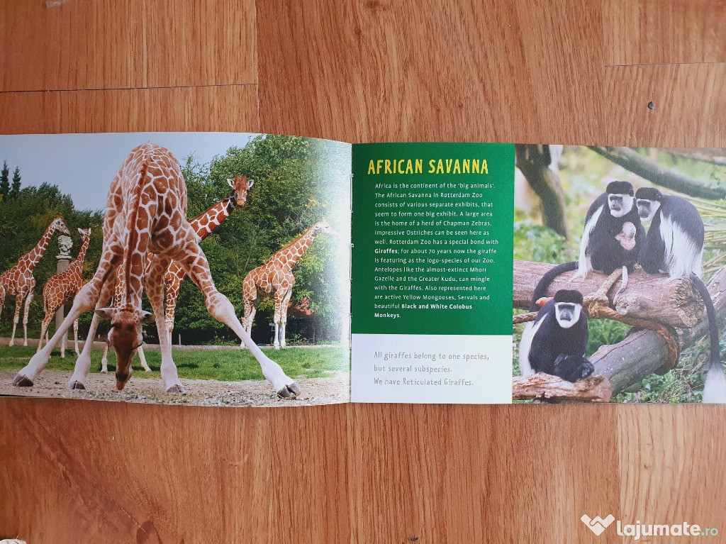 GUIDE INCLUDING ZOO MAP ROTTERDAM ZOO - Blijdorp (in limba e