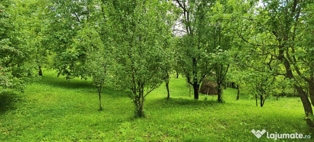 Oaza de verdeata in Talea langa Breaza teren 2500Mp