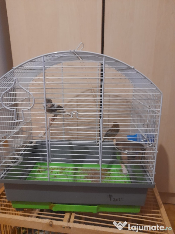 Butoaie 1000 L
