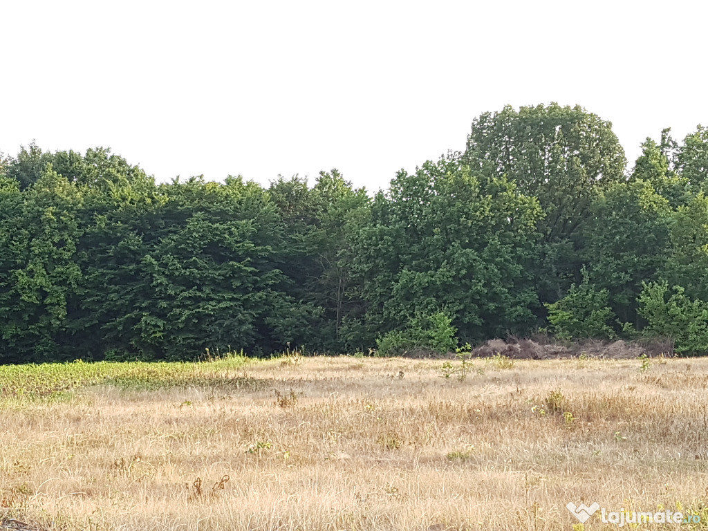 COLOSSEUM: Teren Intravilan Astra Business Park