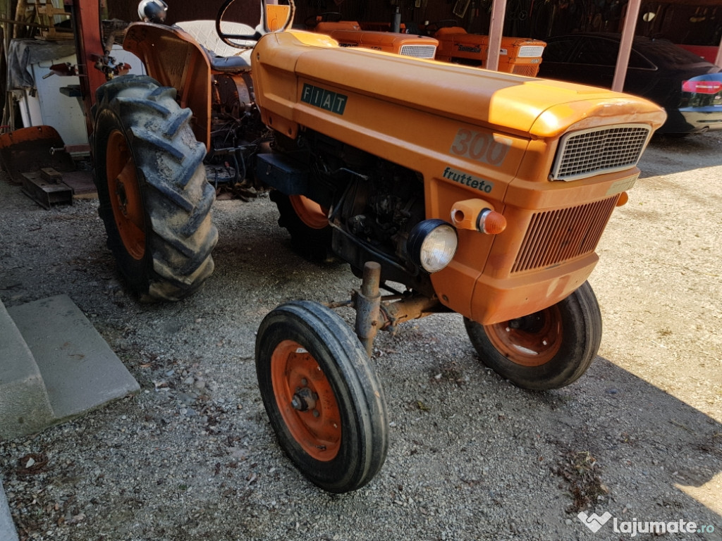 Anunturi Gratuite Borascu