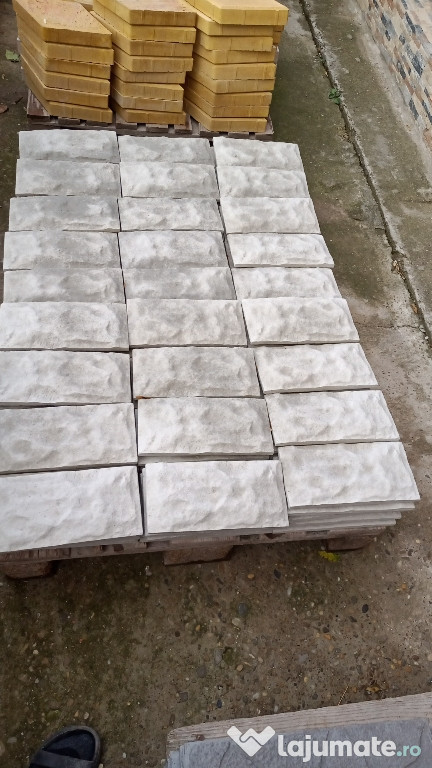 Pavele și Garduri din beton