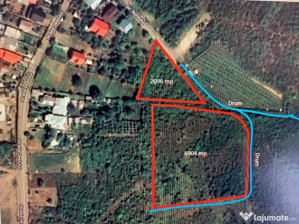 Anunturi Gratuite BOLDESTI GRADISTEA