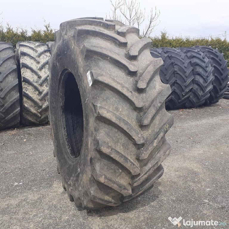 Căței ciobănesc Asia centrală