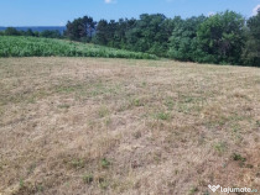 Teren Limba Oii - Lacul Tasaul